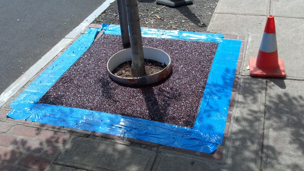 Flexi-Pave tree surround in Ithaca, NY | Environmental Paving Solutions ...