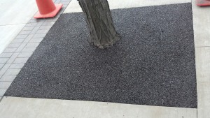 Flexi-Pave tree surround in Rochester, NY | Environmental Paving ...