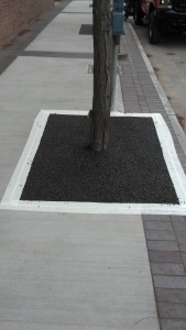 Flexi-Pave tree surround in Rochester, NY | Environmental Paving ...