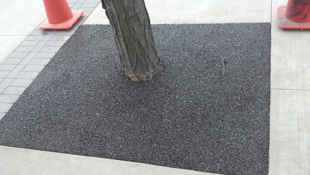 Flexi-Pave tree surround in Rochester, NY | Environmental Paving ...