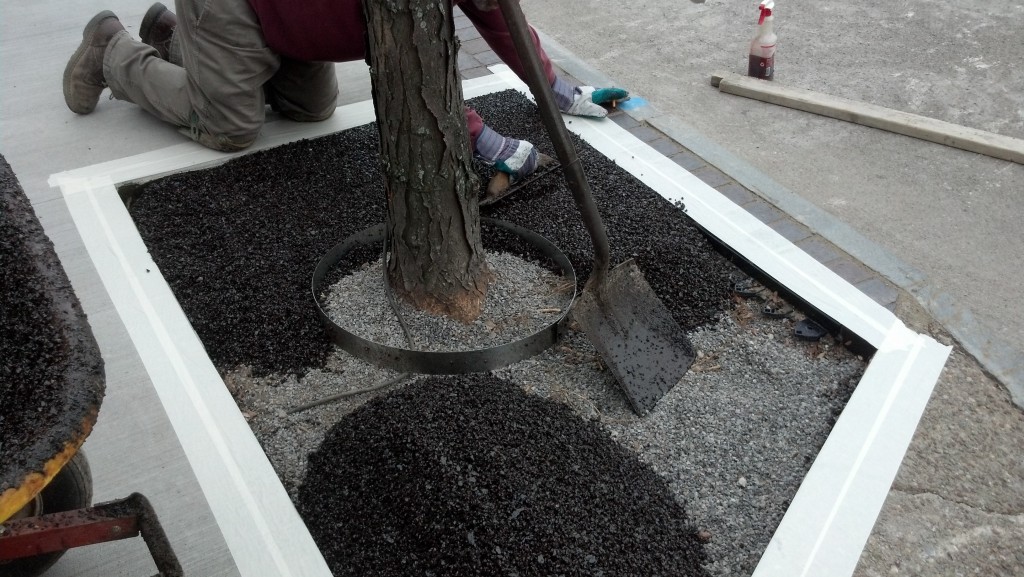 Flexi-Pave tree surround in Rochester, NY | Environmental Paving ...