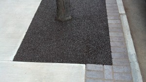 Flexi-Pave tree surround in Rochester, NY | Environmental Paving ...