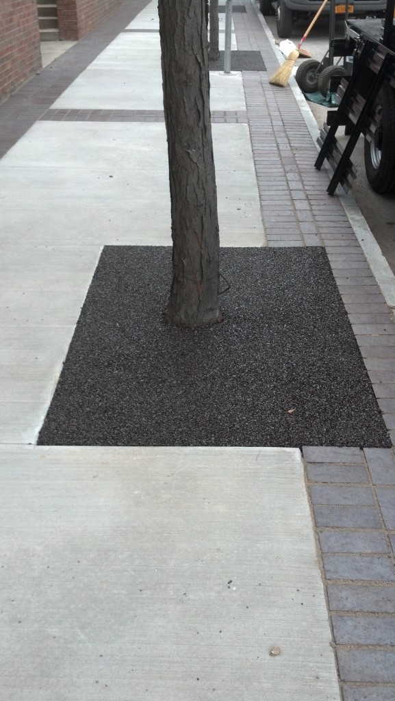 Flexi-Pave tree surround in Rochester, NY | Environmental Paving ...