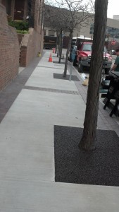 Flexi-Pave tree surround in Rochester, NY | Environmental Paving ...