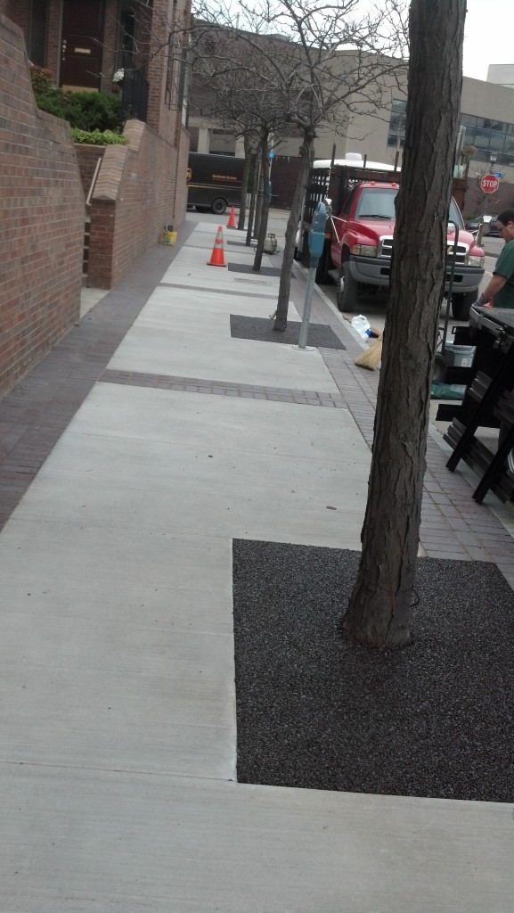 Flexi-Pave tree surround in Rochester, NY | Environmental Paving ...