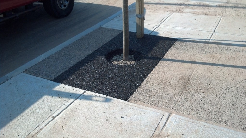 Flexi-Pave tree surrounds in Rochester NY | Environmental Paving ...